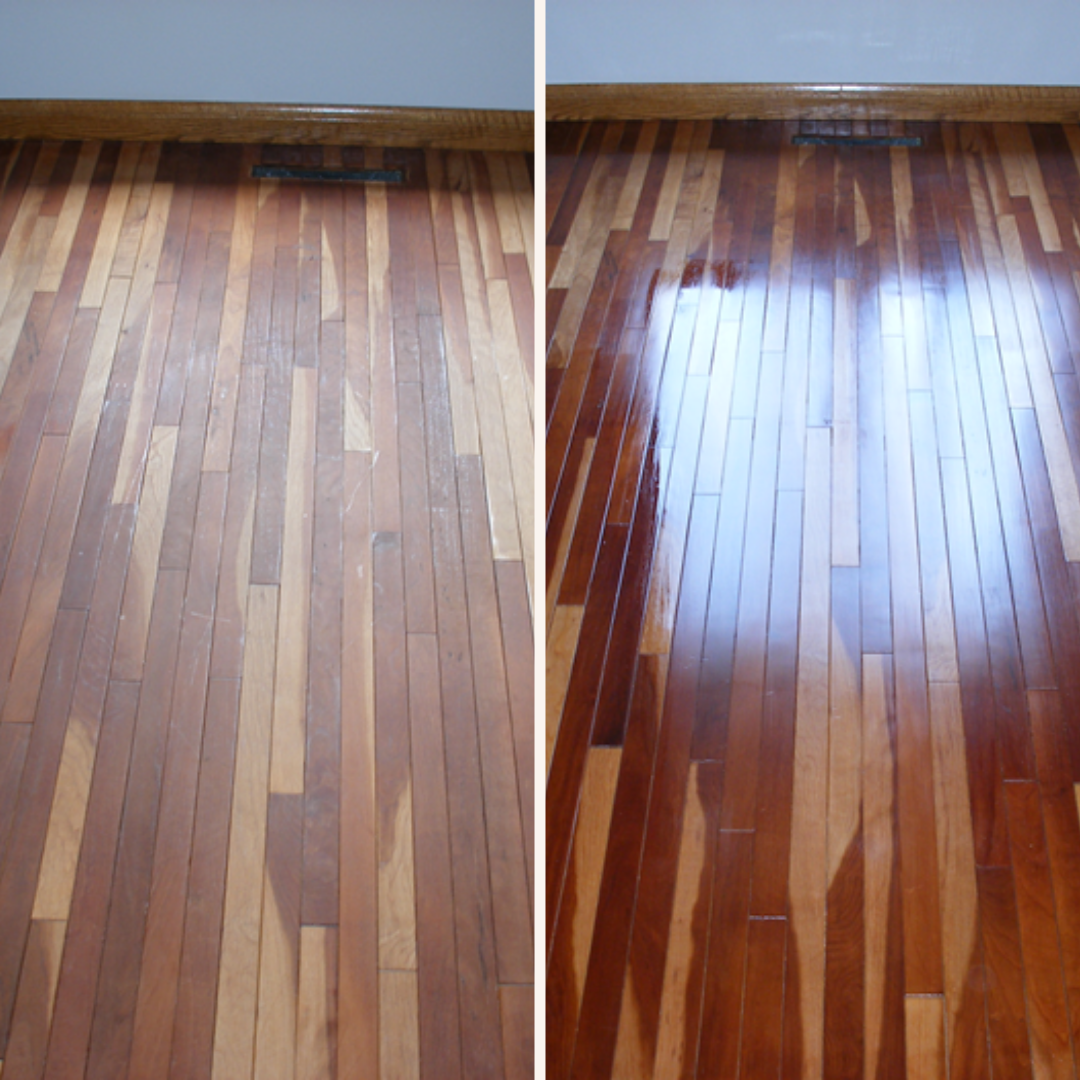 Floor Polish & Restorer | Clean-eez