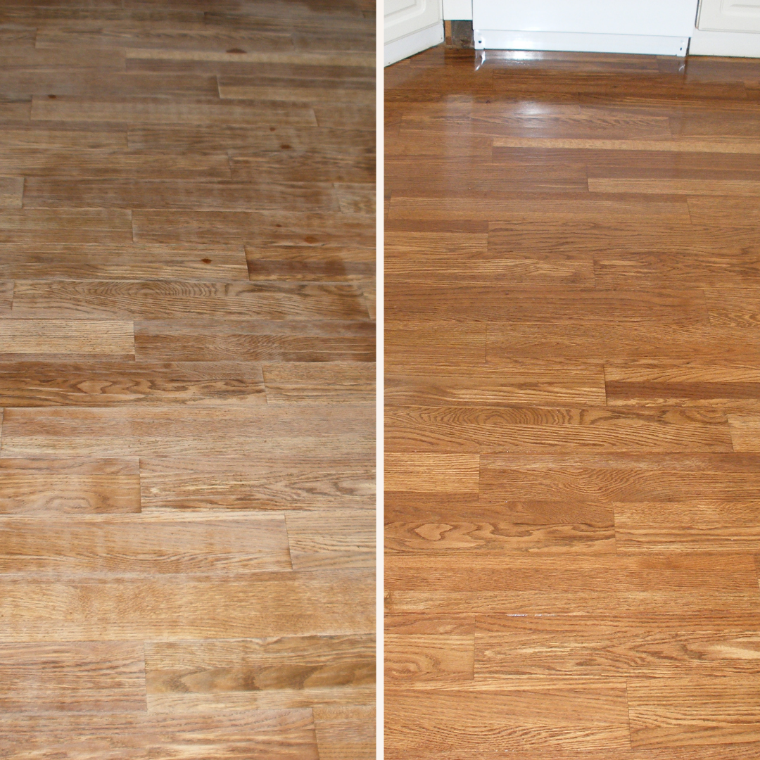 Floor Polish & Restorer | Clean-eez