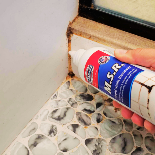 M.S.R - Mold Stain Remover – Clean-eez