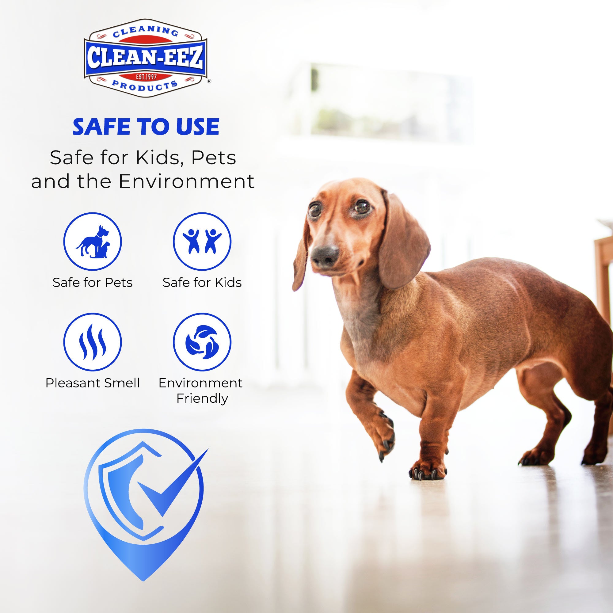 Floor Polish & Restorer | Clean-eez